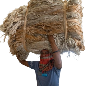 BK Jute – Best Jute Supplier in Bangladesh